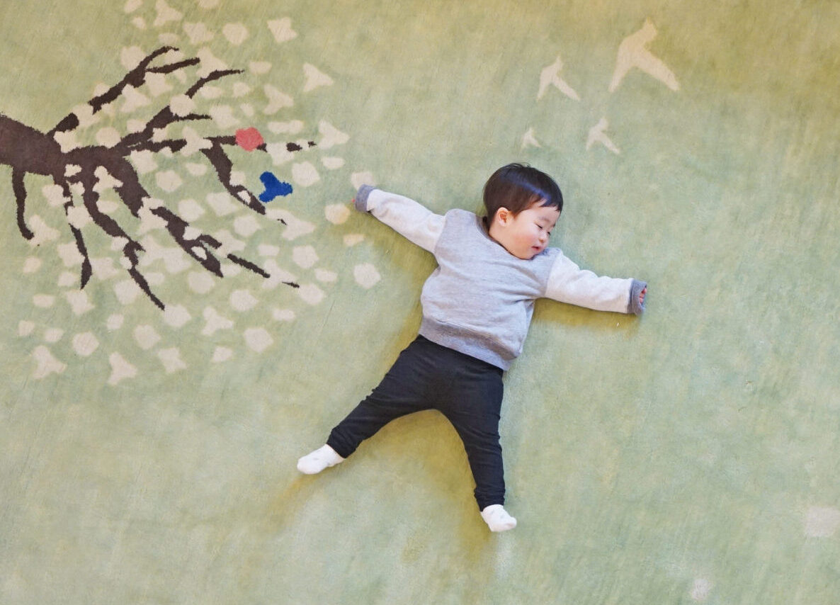 素材と思想から生まれた家｜sobokuのこと